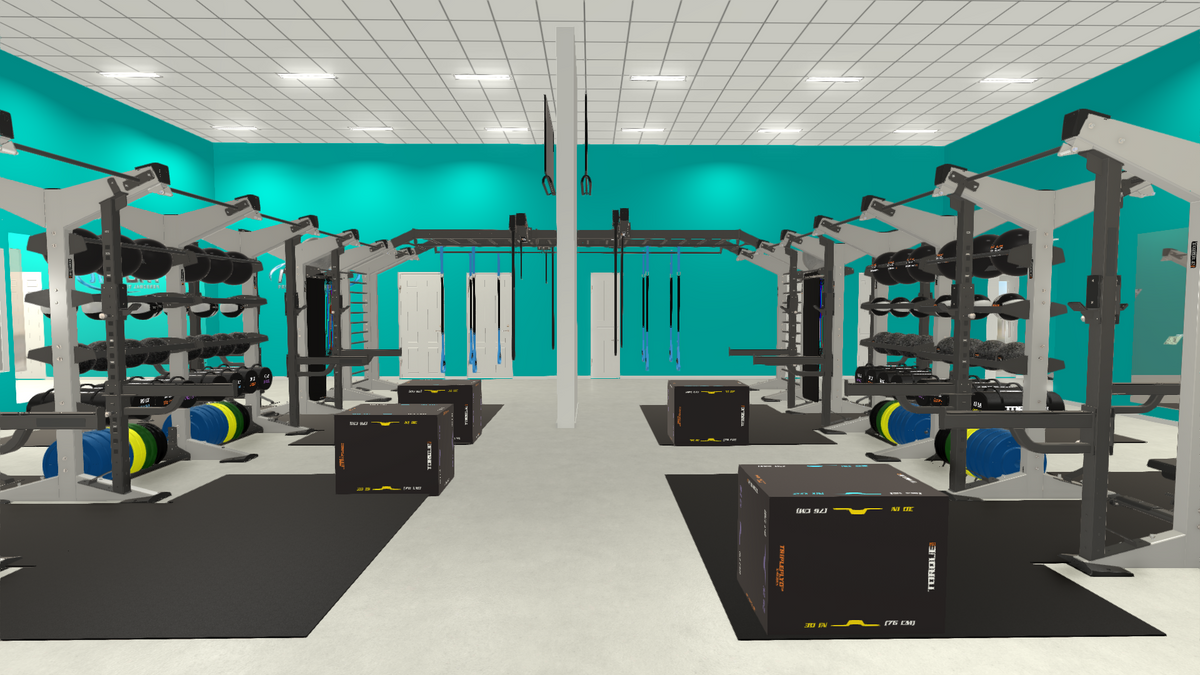 X-CREATE Bridge With Lifting Stations & Plyos – Torque Fitness - Commercial