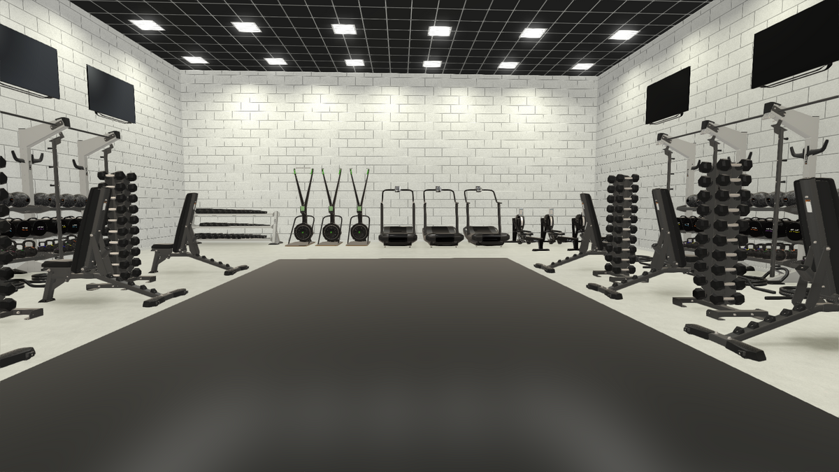 Ultimate Functional Strength Training & Cardio Room – Torque Fitness ...