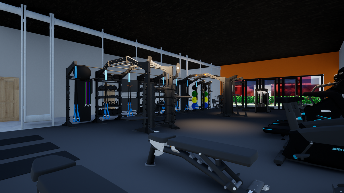 Dual X-CREATE Bridge Functional Training – Torque Fitness - Commercial