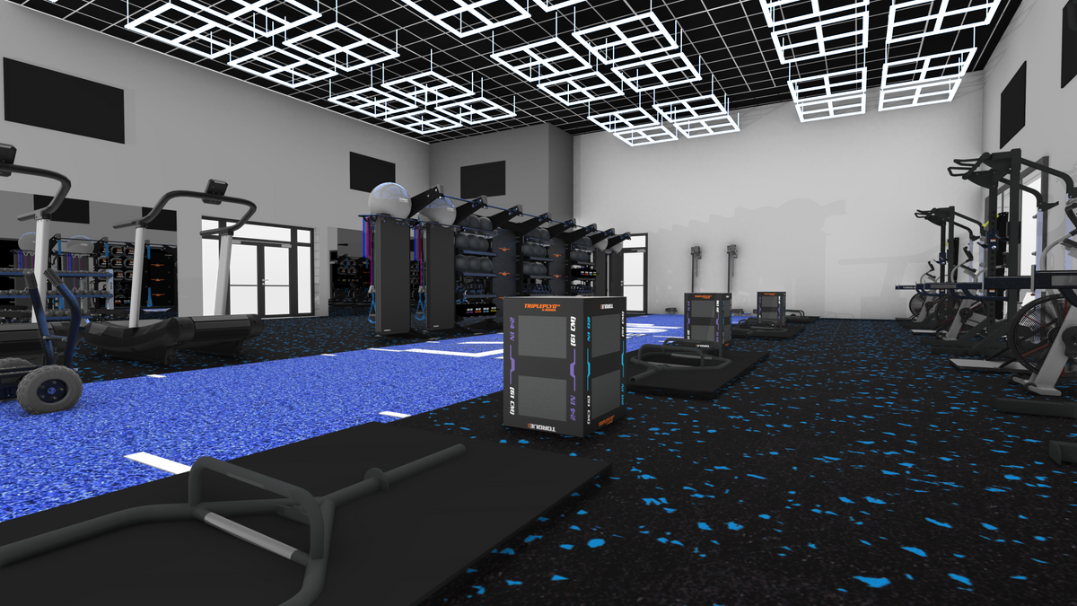 Versatile Functional & Strength Training Room – Torque Fitness - Commercial