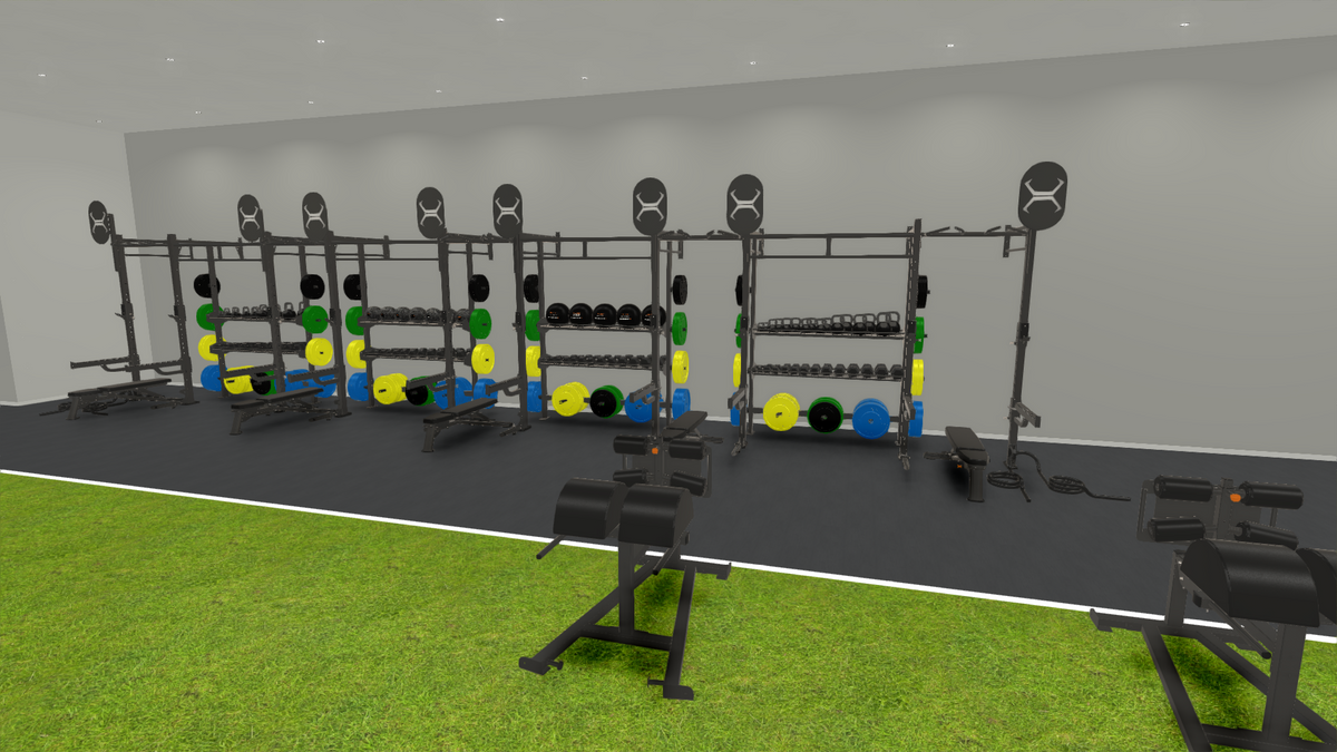 Wall Lining X-Rack System – Torque Fitness - Commercial