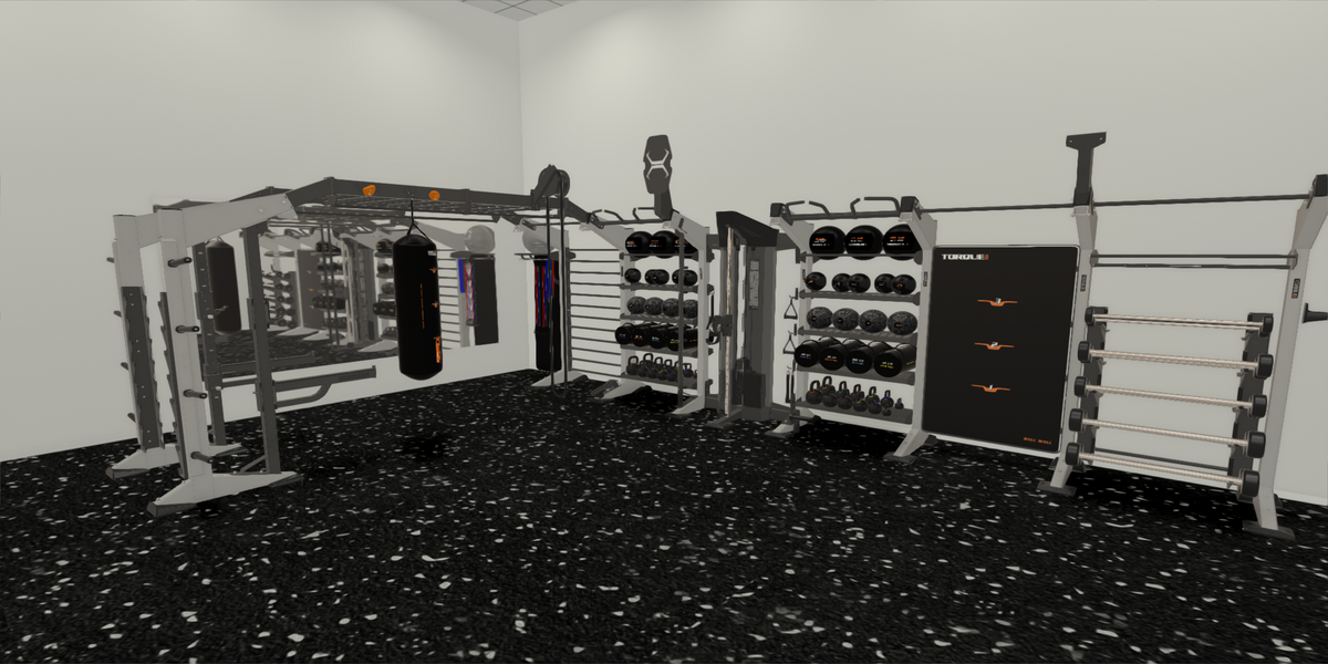 X-Create Functional Bridge with Lifting Module – Torque Fitness ...