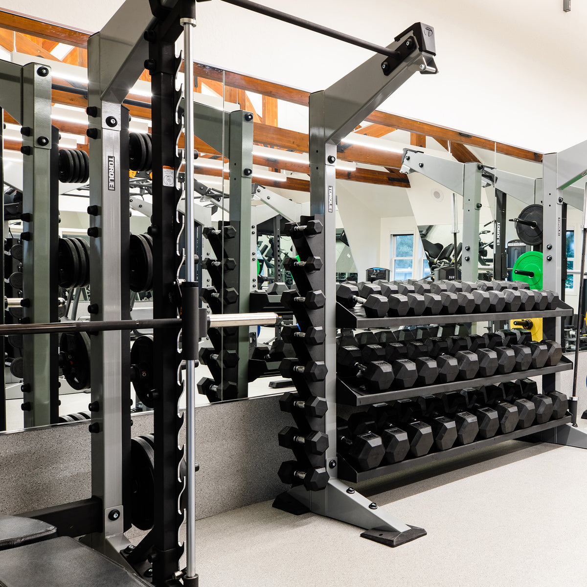 Rubber Hexagon Dumbbell – Torque Fitness - Commercial